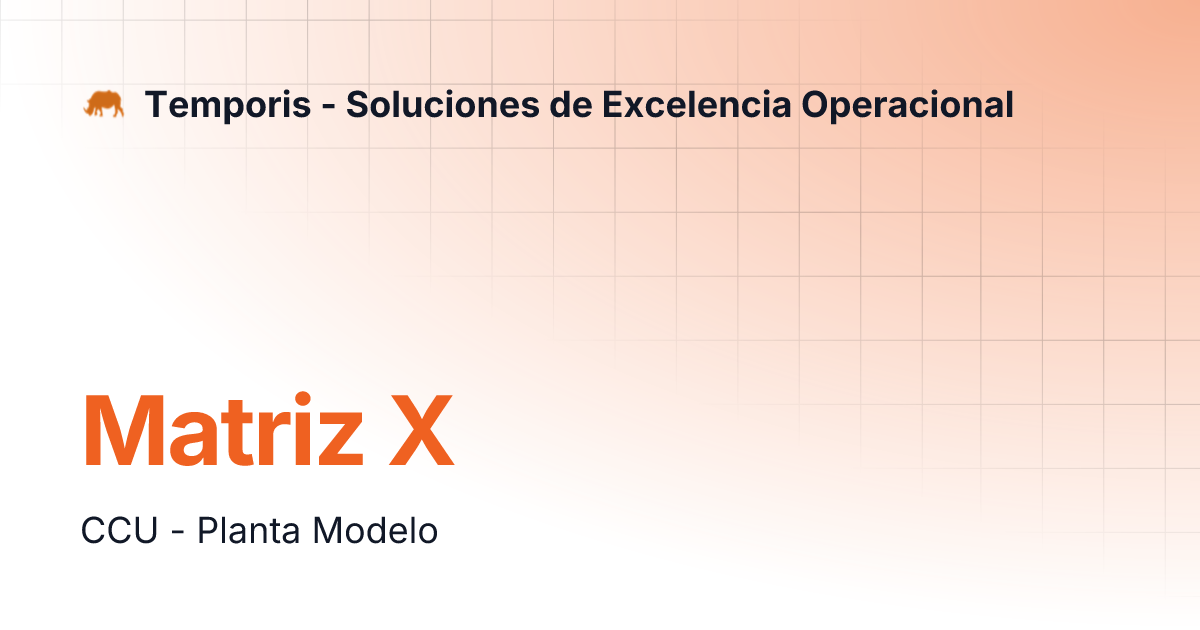 Matriz X | Temporis - Soluciones de Excelencia Operacional